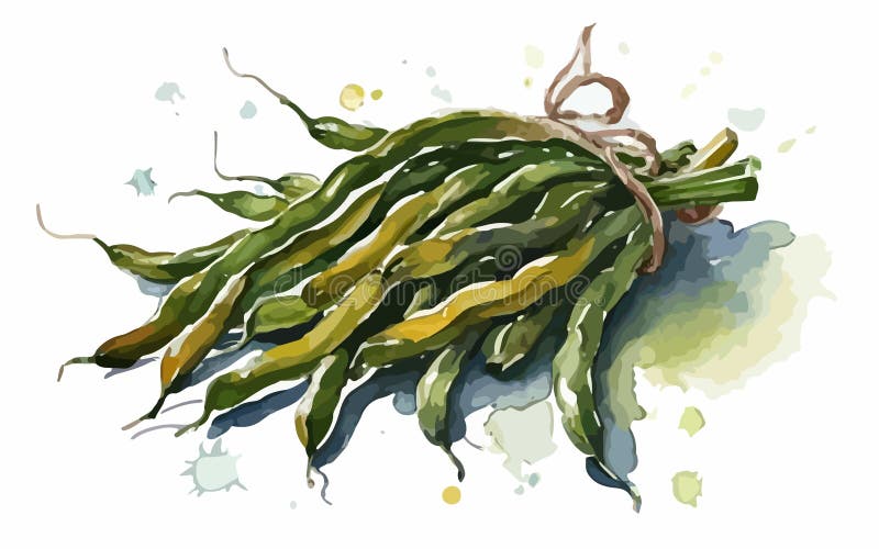 String Beans Art and Illustration Generative AI Stock Illustration ...