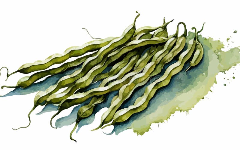 String Beans Art and Illustration Generative AI Stock Illustration ...