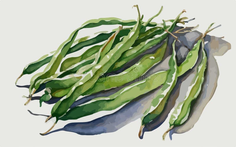 String Beans Art and Illustration Generative AI Stock Illustration ...