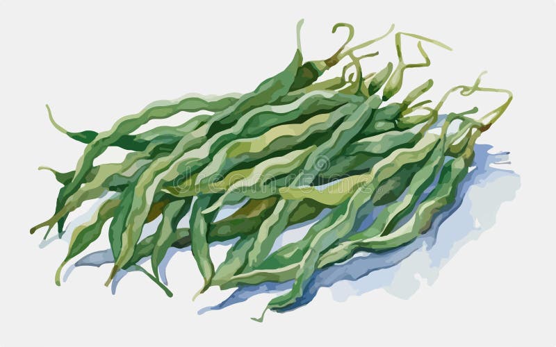 String Beans Art and Illustration Generative AI Stock Vector ...