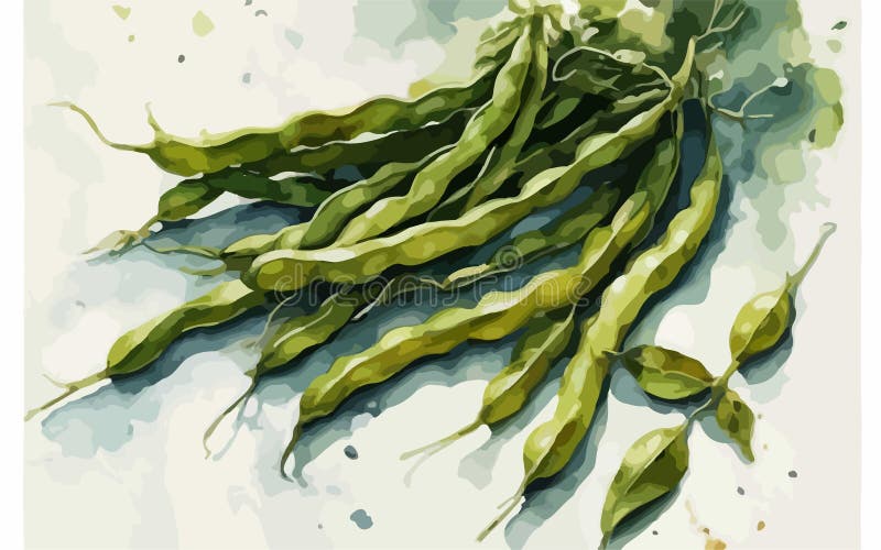 String Beans Art and Illustration Generative AI Stock Illustration ...