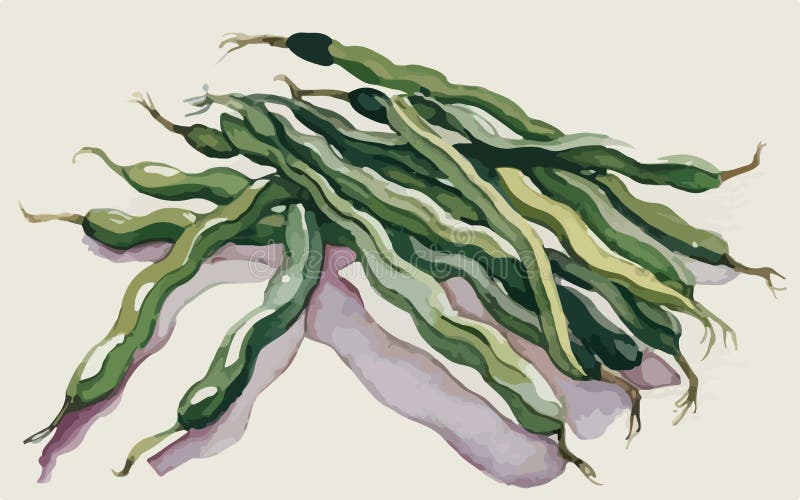 String Beans Art and Illustration Generative AI Stock Illustration ...