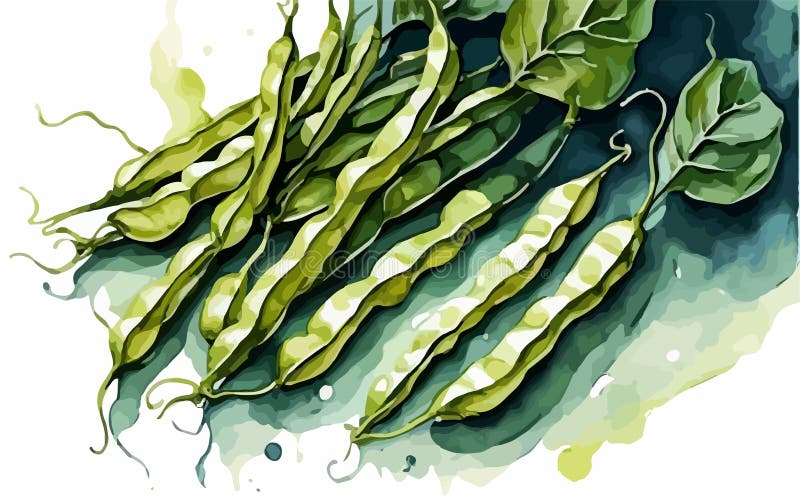 String Beans Art and Illustration Generative AI Stock Illustration ...