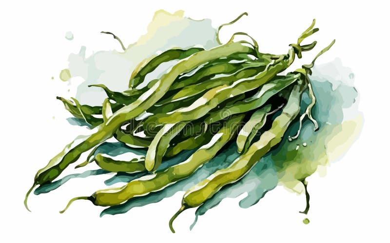 String Beans Art and Illustration Generative AI Stock Illustration ...