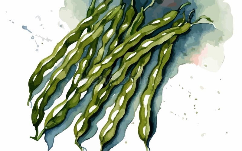 String Beans Art and Illustration Generative AI Stock Illustration ...