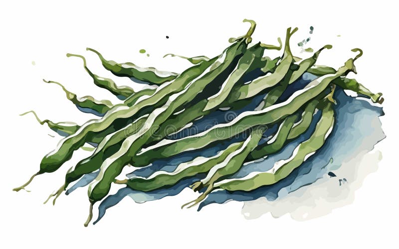 String Beans Art and Illustration Generative AI Stock Illustration ...