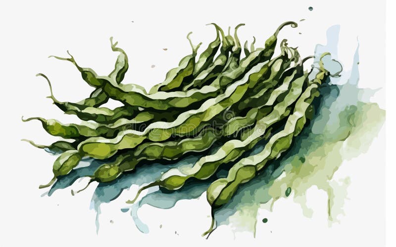 String Beans Art and Illustration Generative AI Stock Illustration ...