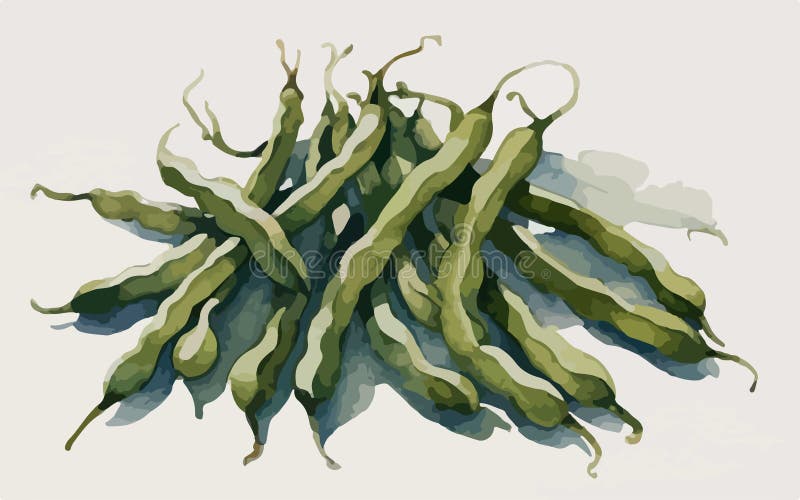 String Beans Art and Illustration Generative AI Stock Illustration ...
