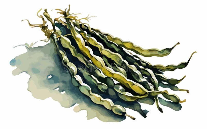 String Beans Art and Illustration Generative AI Stock Illustration ...