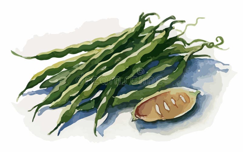 String Beans Art and Illustration Generative AI Stock Illustration ...