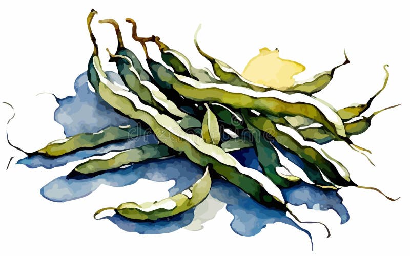 String Beans Art and Illustration Generative AI Stock Illustration ...