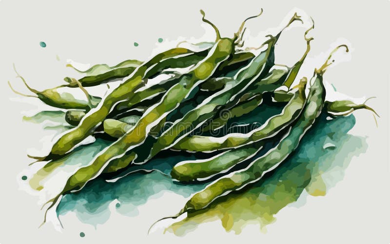 String Beans Art and Illustration Generative AI Stock Illustration ...
