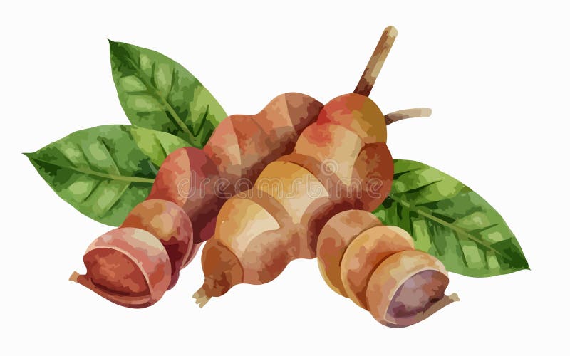 Tamarind Fruit with Leaf Art and Illustration Generative AI Stock ...