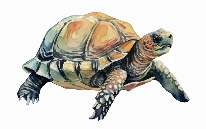 Turtle Art and Illustration Generative AI Stock Vector - Illustration ...