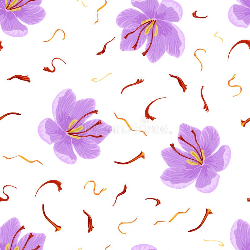 Saffron Flower Set. Vector. Stock Vector - Illustration of exotic ...