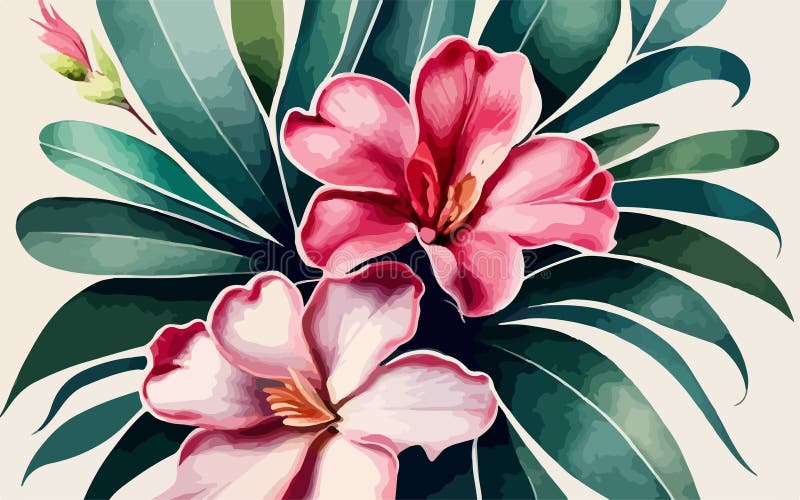 Watercolor Illustration of Adenium Flower, Botanical Illustration ...