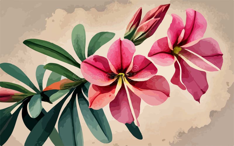 Adenium Botanical Illustration with Desert Rose and Anatomical Details ...