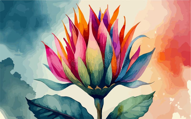 Watercolor Illustration of Ashoka Flower, Botanical Illustration ...