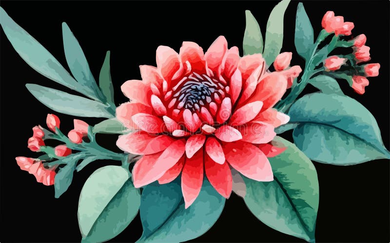 Watercolor Illustration of Ashoka Flower, Botanical Illustration ...