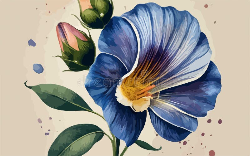 Watercolor Illustration of Clitoria Flower, Botanical Illustration ...