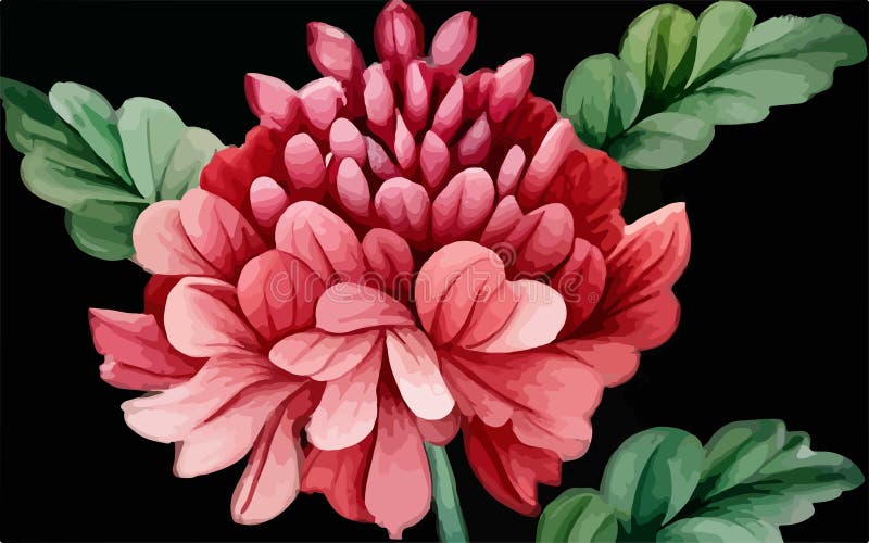 Watercolor Illustration of Cockscomb Flower, Botanical Illustration ...