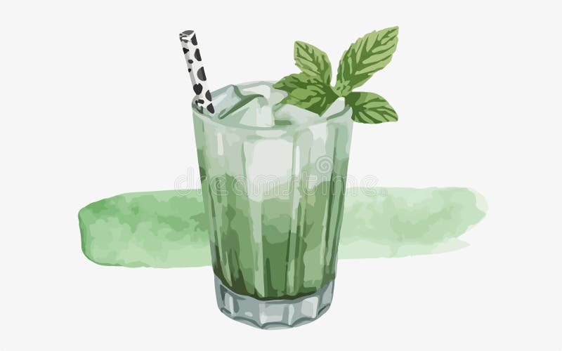 Watercolor Illustration of Mint, Botanical Illustration, Flowers ...