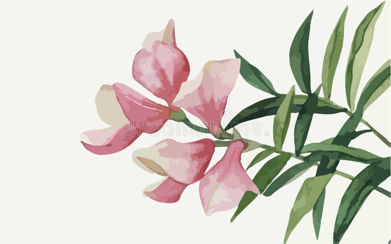 Watercolor Illustration of Oleander, Botanical Illustration, Flowers ...