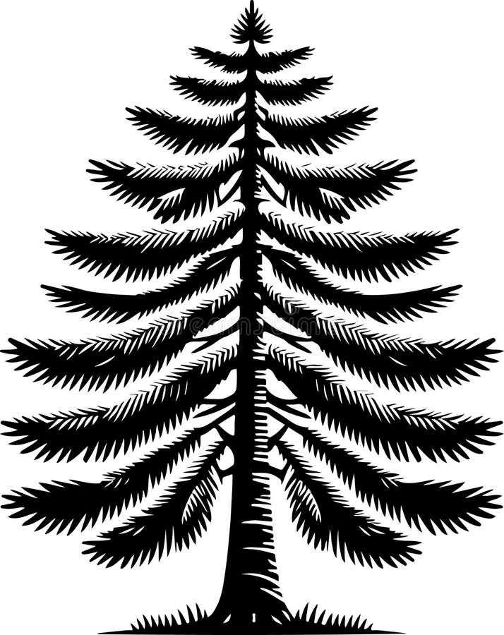 Majestic Cedar of Lebanon: Symbol of Strength and Resilience Stock ...