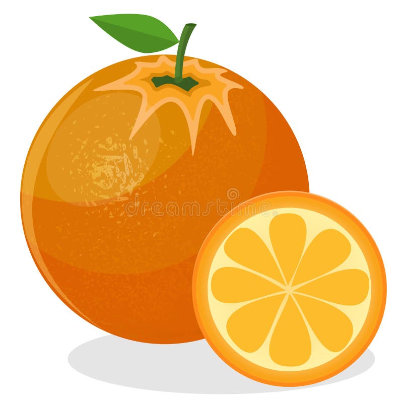 Orange Fruit Vector Summer Food Engraved, Stock Vector - Illustration ...