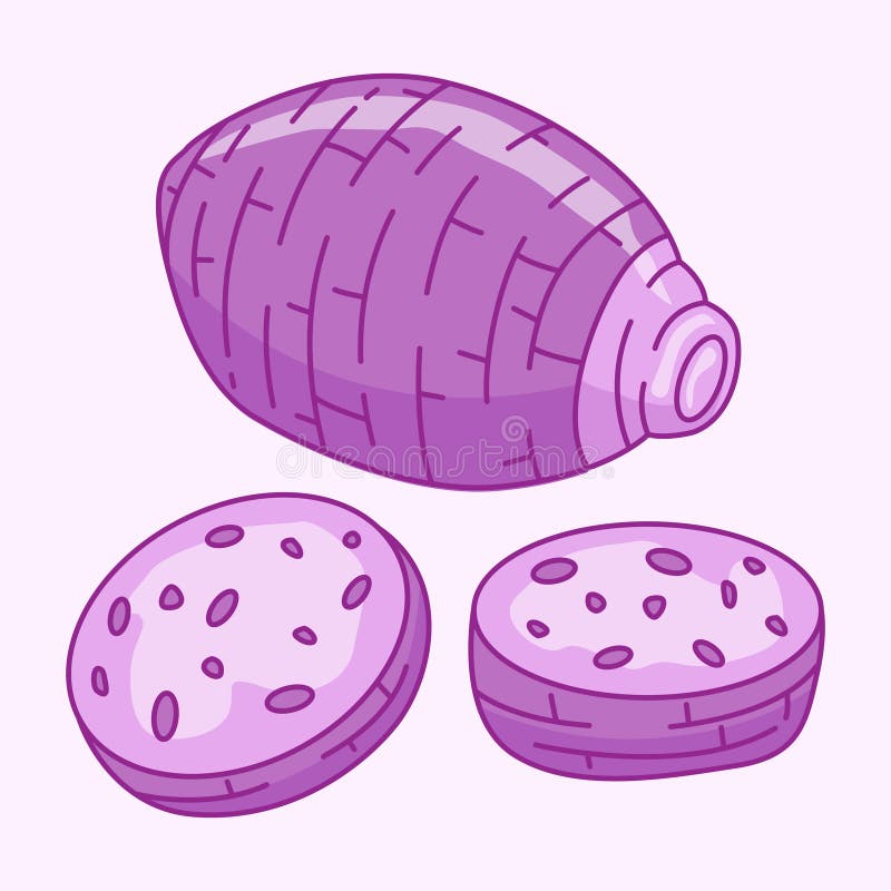 Vector Illustration of Taro Root Vegetable with Two Round Slices of ...