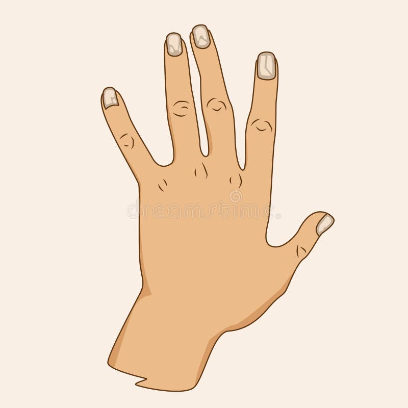 Vector Illustration of High Five Hand Stock Vector - Illustration of ...