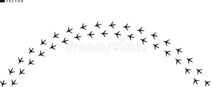 Hen Paw Print Silhouette. Chicken Paw Print Vector. Bird Track Stock ...