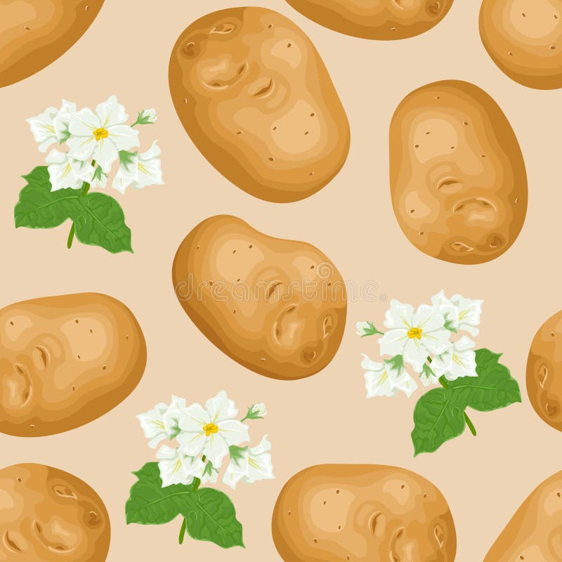 Potatoes Plant Cartoon Stock Illustrations – 1,519 Potatoes Plant ...