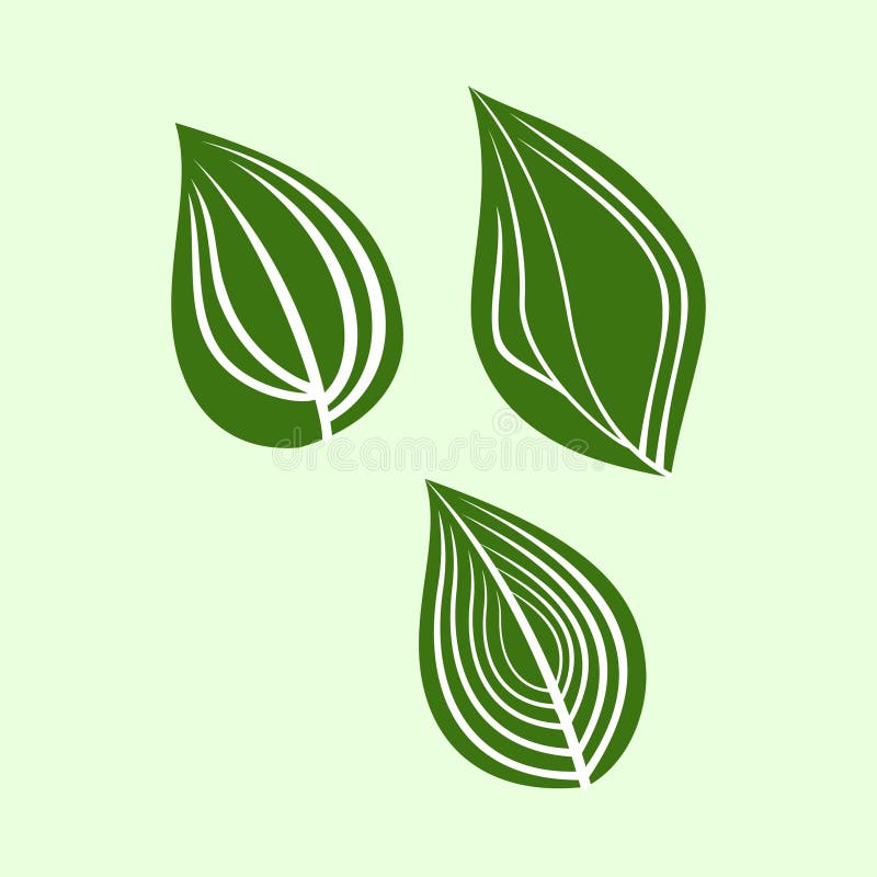 Green Leaf Icon on White Background. Nature Symbol. Leaf Bones Form ...
