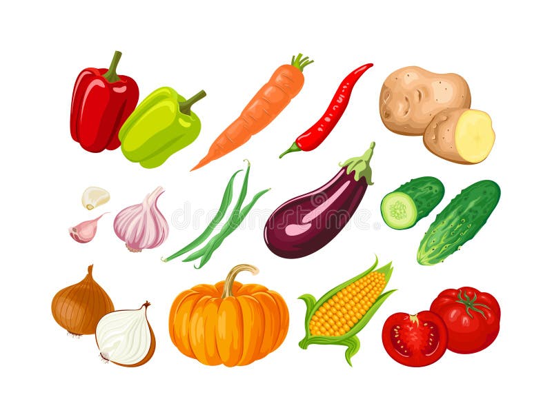 Chilli Bean Cartoon Stock Illustrations – 91 Chilli Bean Cartoon Stock ...