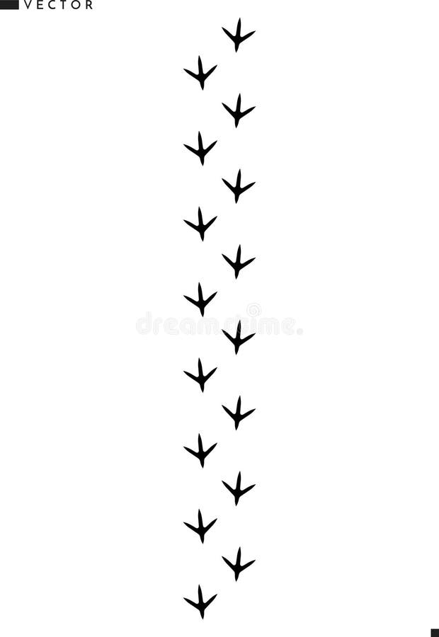 Bird Paw Prints. Turkey Paw Prints. Vector Illustration (EPS) Stock ...