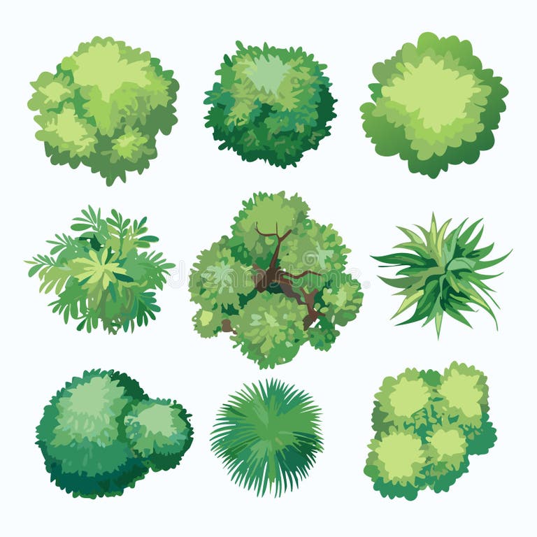 Set of 9 Tree and Shrub Icons for Garden and Architectural Plans Top ...
