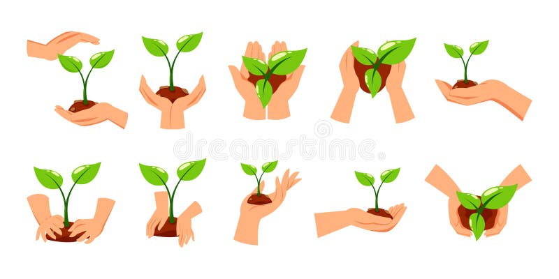 Hands Holding Young Plants Reforestation Concept Vector Set Stock ...