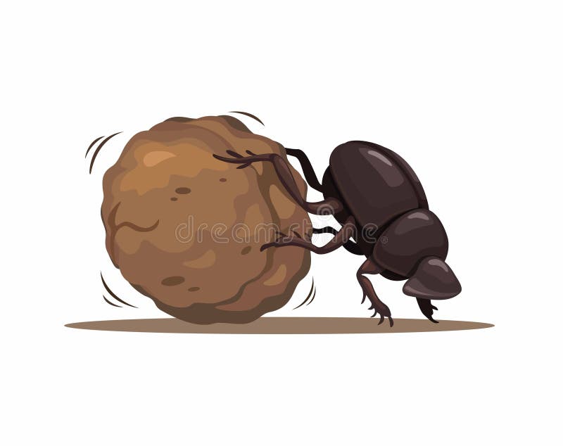 Dung Beetle Rolling Big Ball Poop Cartoon Illustration Vector Stock ...