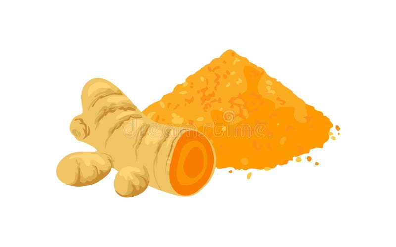 Turmeric Powder in a Wooden Bowl Vector Illustration Stock Illustration ...
