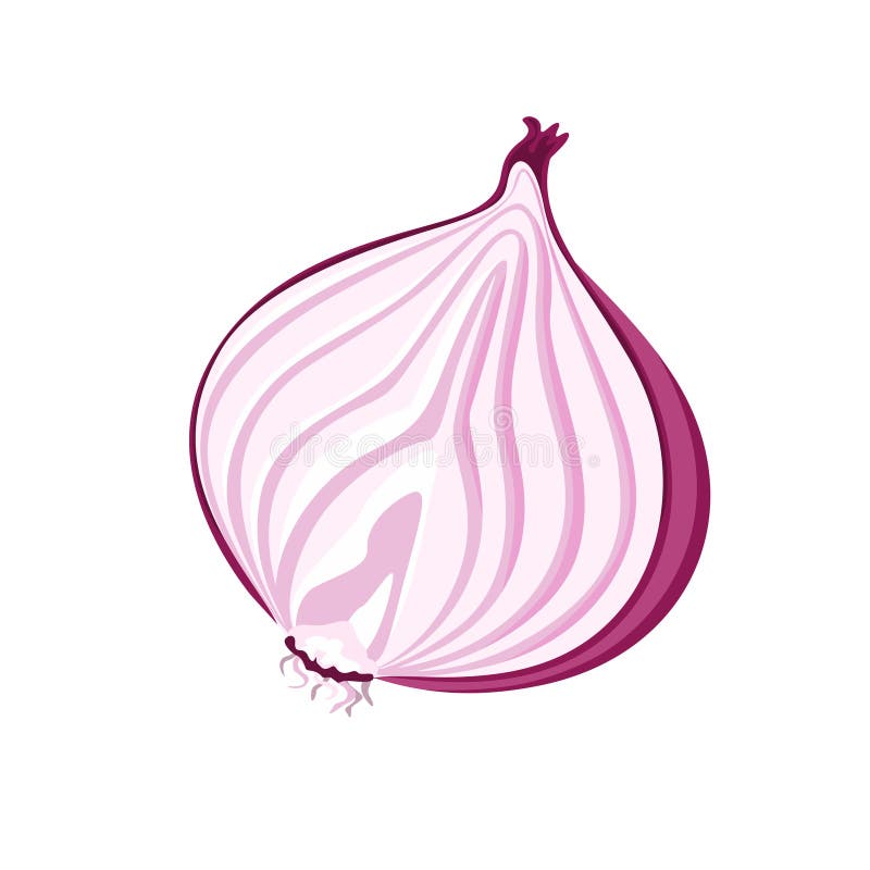 Red Onion Slice Isolated on White Background. Stock Vector ...