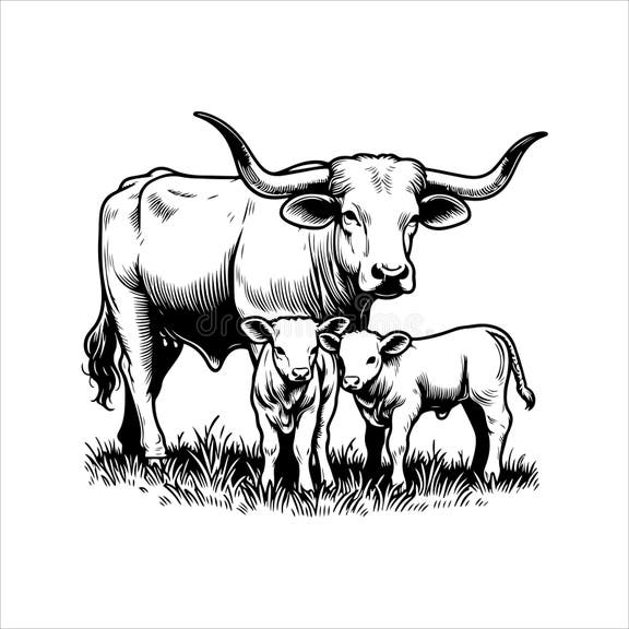 Black and White Vector of Texas Longhorn Cow – Easy Tracing ...