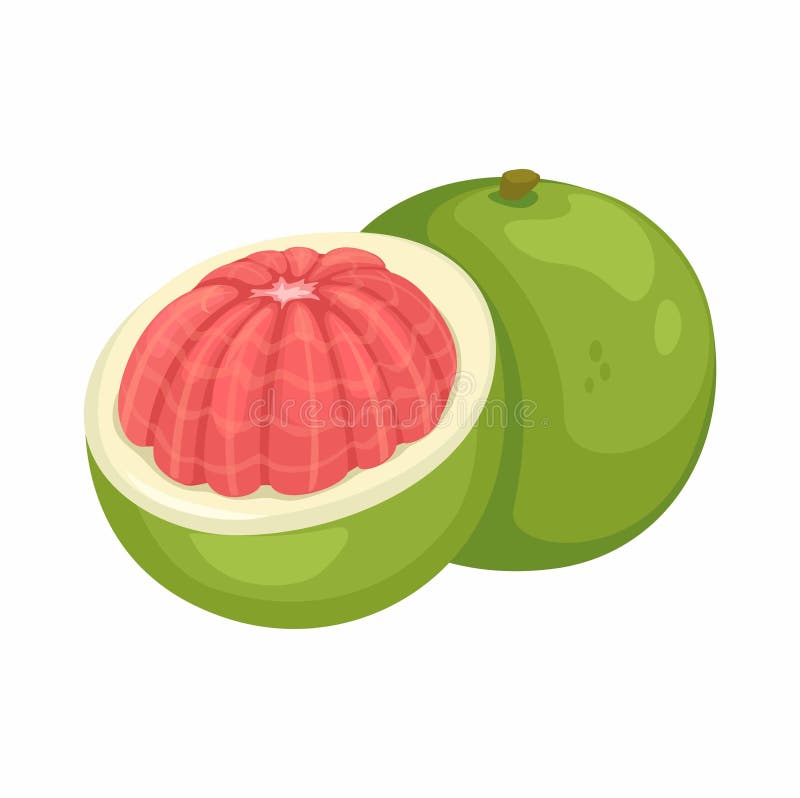 Whole and Half Pomelo Fruit Cartoon Illustration Vector Stock Vector ...
