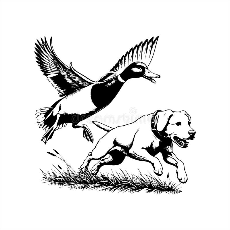 Dog and Duck in Various Motion Poses – Black and White Line Art Vector ...