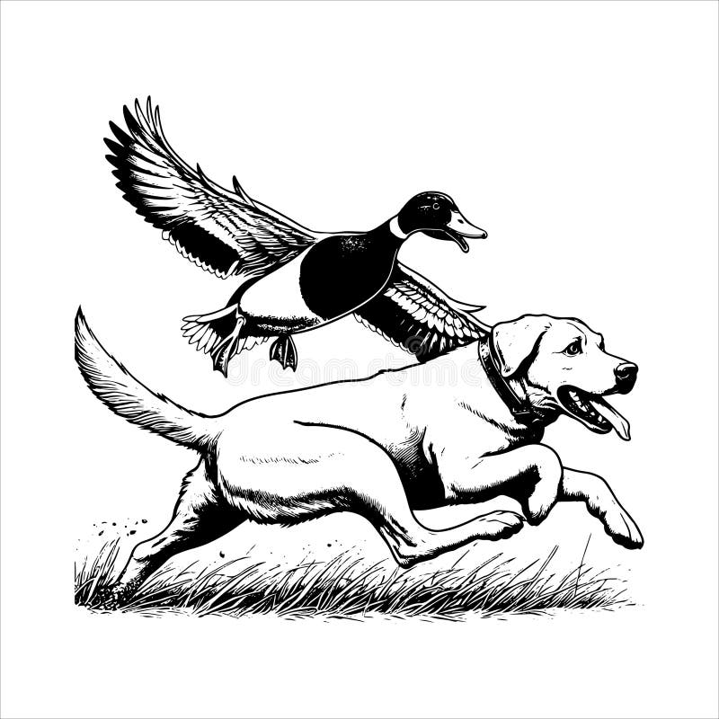 Dog and Duck in Various Motion Poses – Black and White Line Art Vector ...