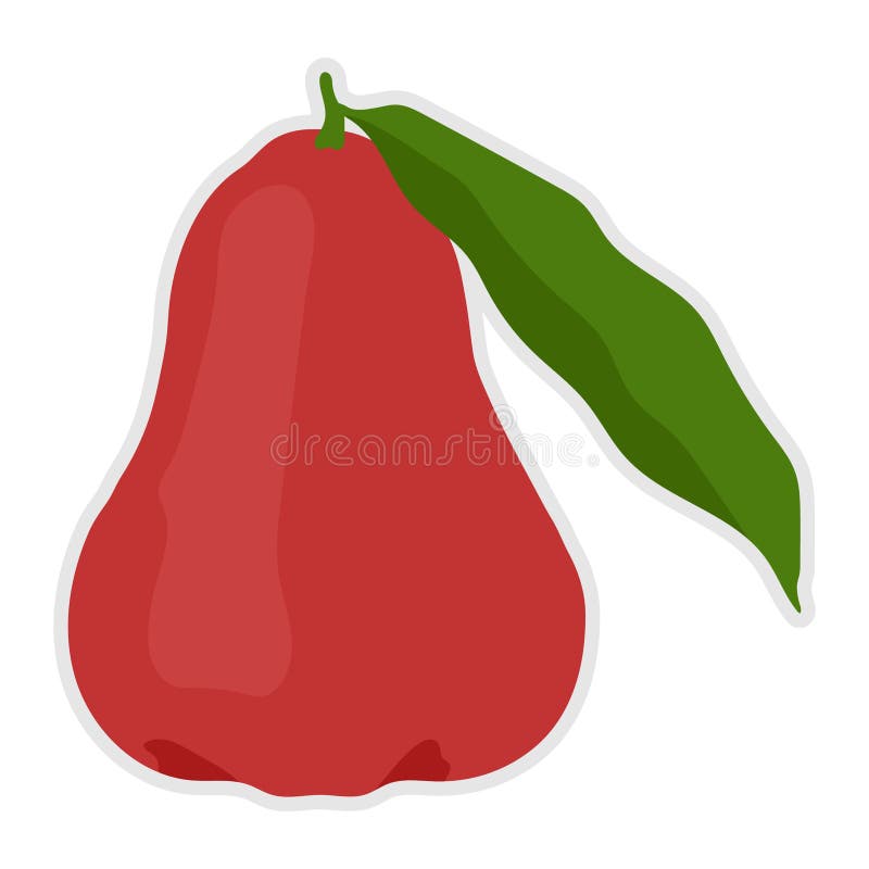 Rose Apple Abstract Style. Natural Tropical Fruits. Organic Fruits or ...