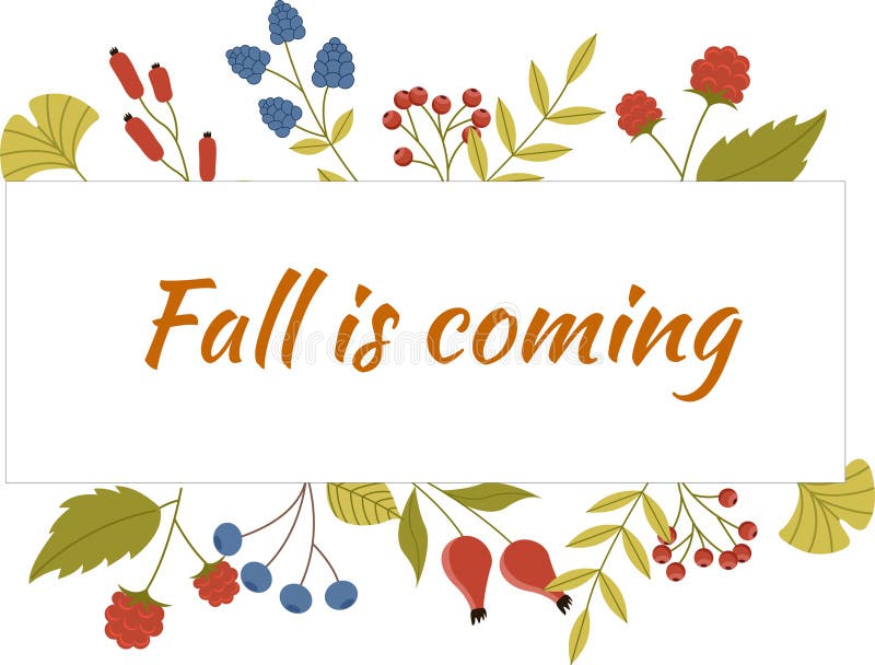 Fall is Coming Frame with Berry Branches Stock Vector - Illustration of ...