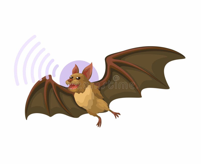 Bat Echolocation Animal Cartoon Illustration Vector Stock Illustration ...