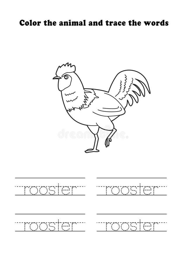 Learning Worksheet Rooster Coloring Tracing Stock Illustrations – 9 ...