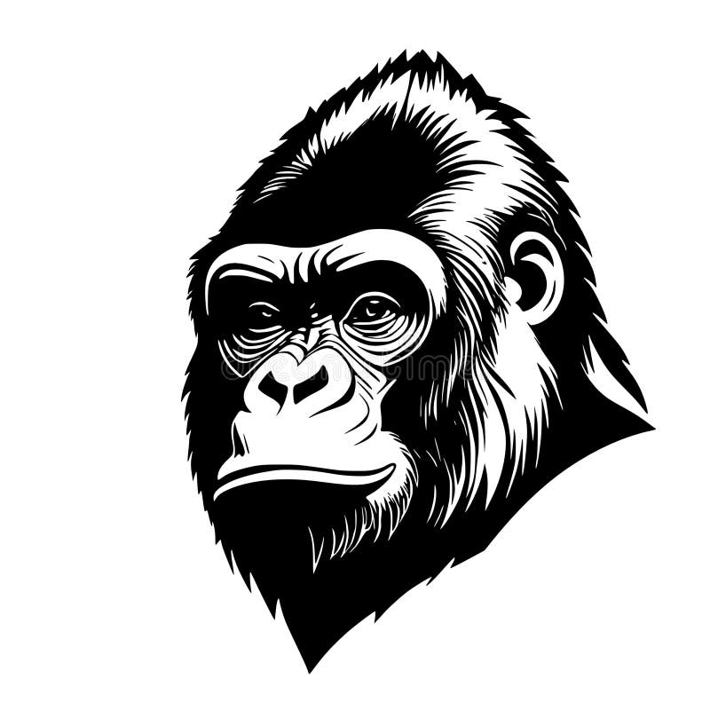 Illustration of a Cute Black Monkey Stock Illustration - Illustration of animal, wild: 374200263